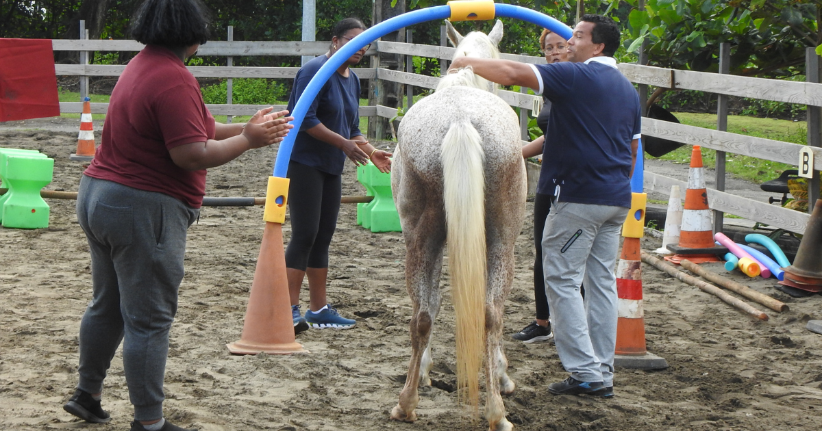 Développez votre leadership avec l’équicoaching – Martinique | Co-Équi-Pieds